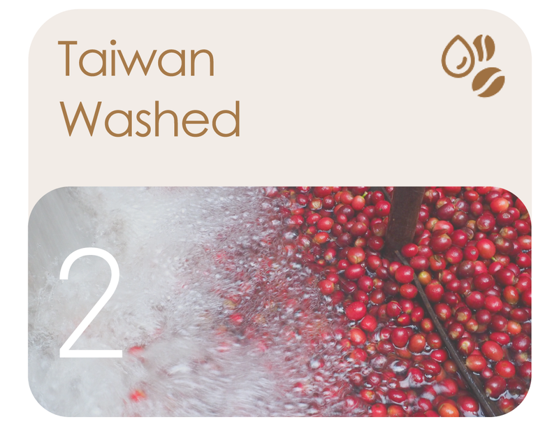 avercasso | AI Green Coffee Beans Sorter