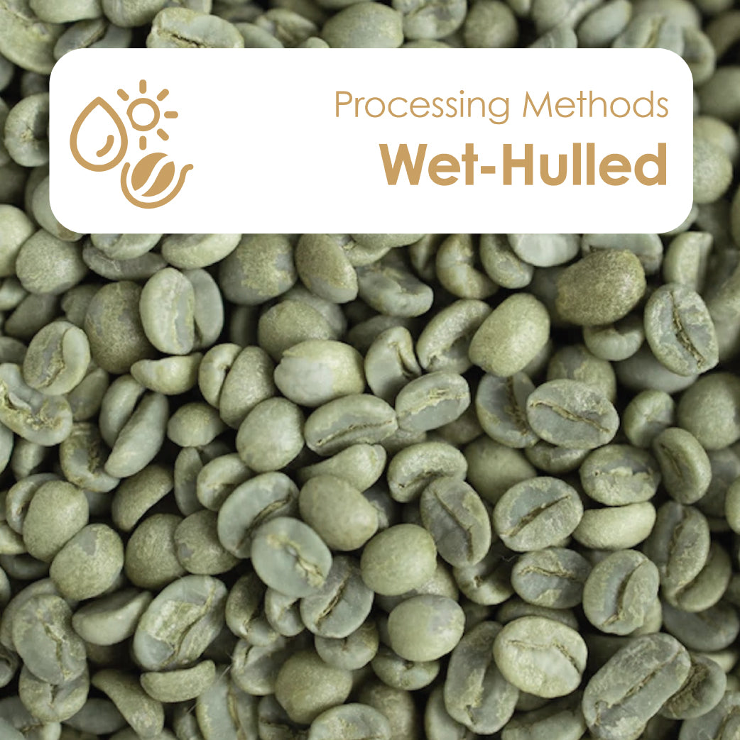 Wet-Hulled - AI Sorting Module – avercasso | AI Green Coffee Beans Sorter