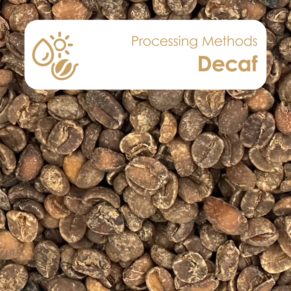 Decaf – avercasso | AI Green Coffee Bean Sorter