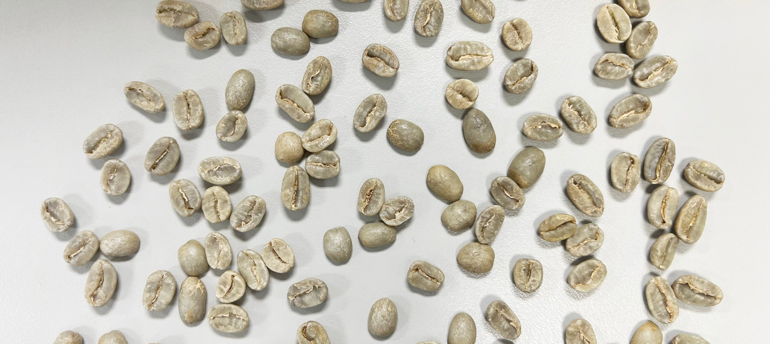 World's 1st Green Coffee Sorting Solution – avercasso | AI Green Coffee ...