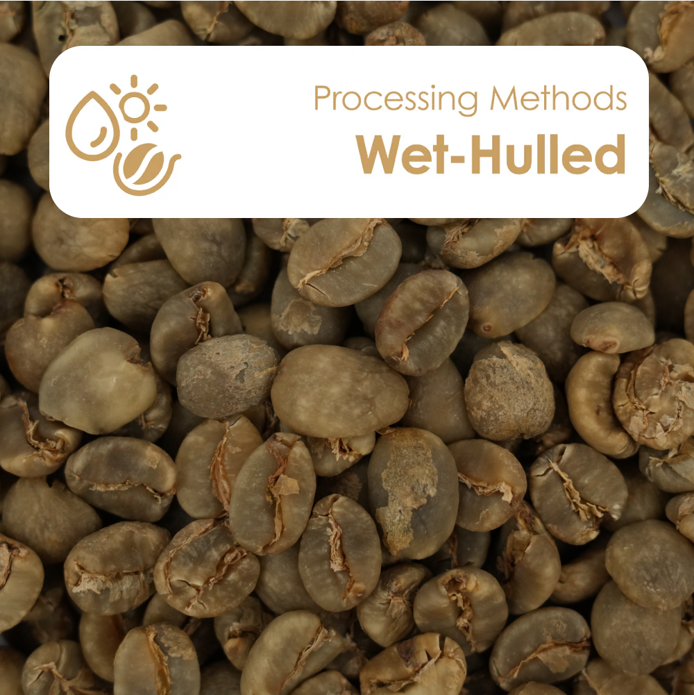 Wet-Hulled - AI Sorting Module – avercasso | AI Green Coffee Bean Sorter